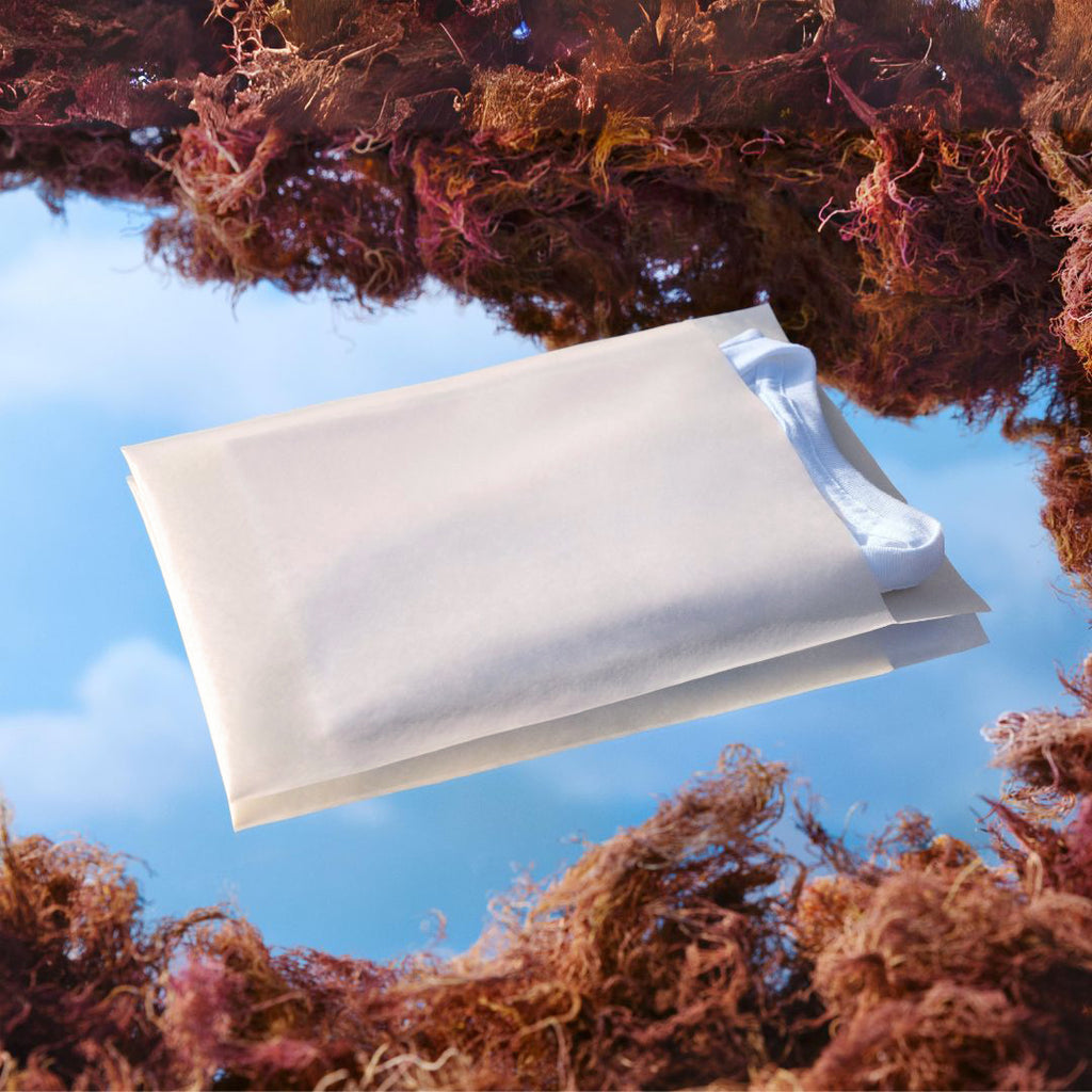 Sway Polybag - Made From Seaweed – A New Earth Project